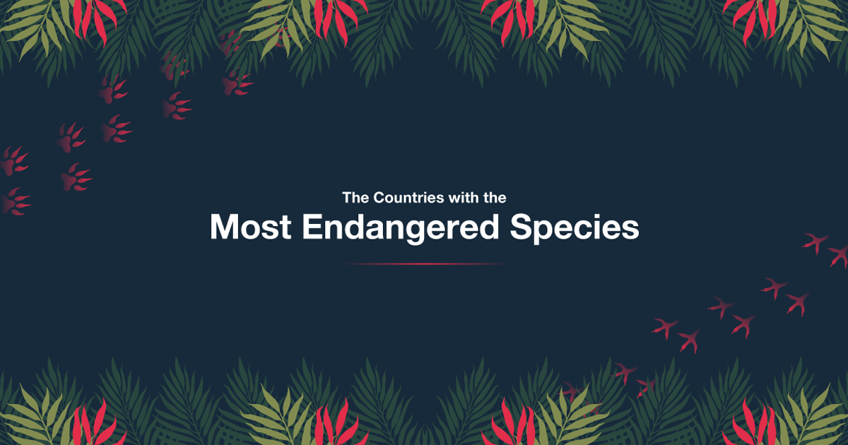 Countries With The Most Endangered Species | Alpha Travel Insurance